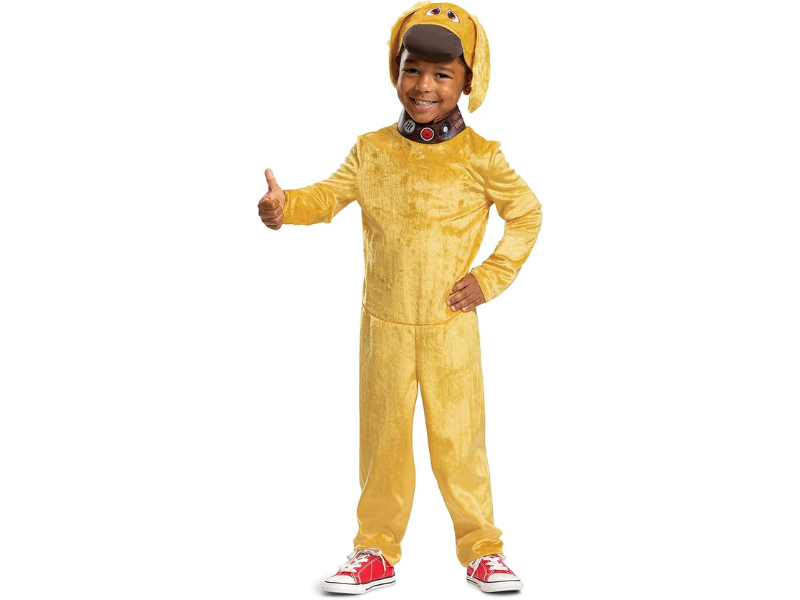 Disfraz Up Dug Niño Pixar — Carnaval